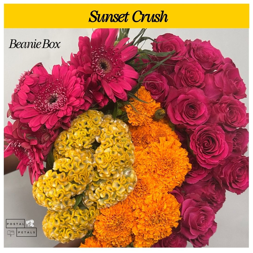 Sunset Crush – Postal Petals®