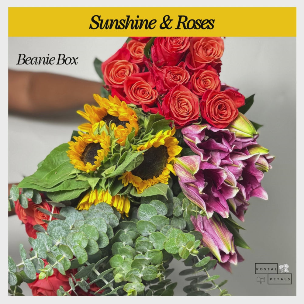 Farm Direct, Fresh Cut Flowers - Postal Petals – Postal Petals®